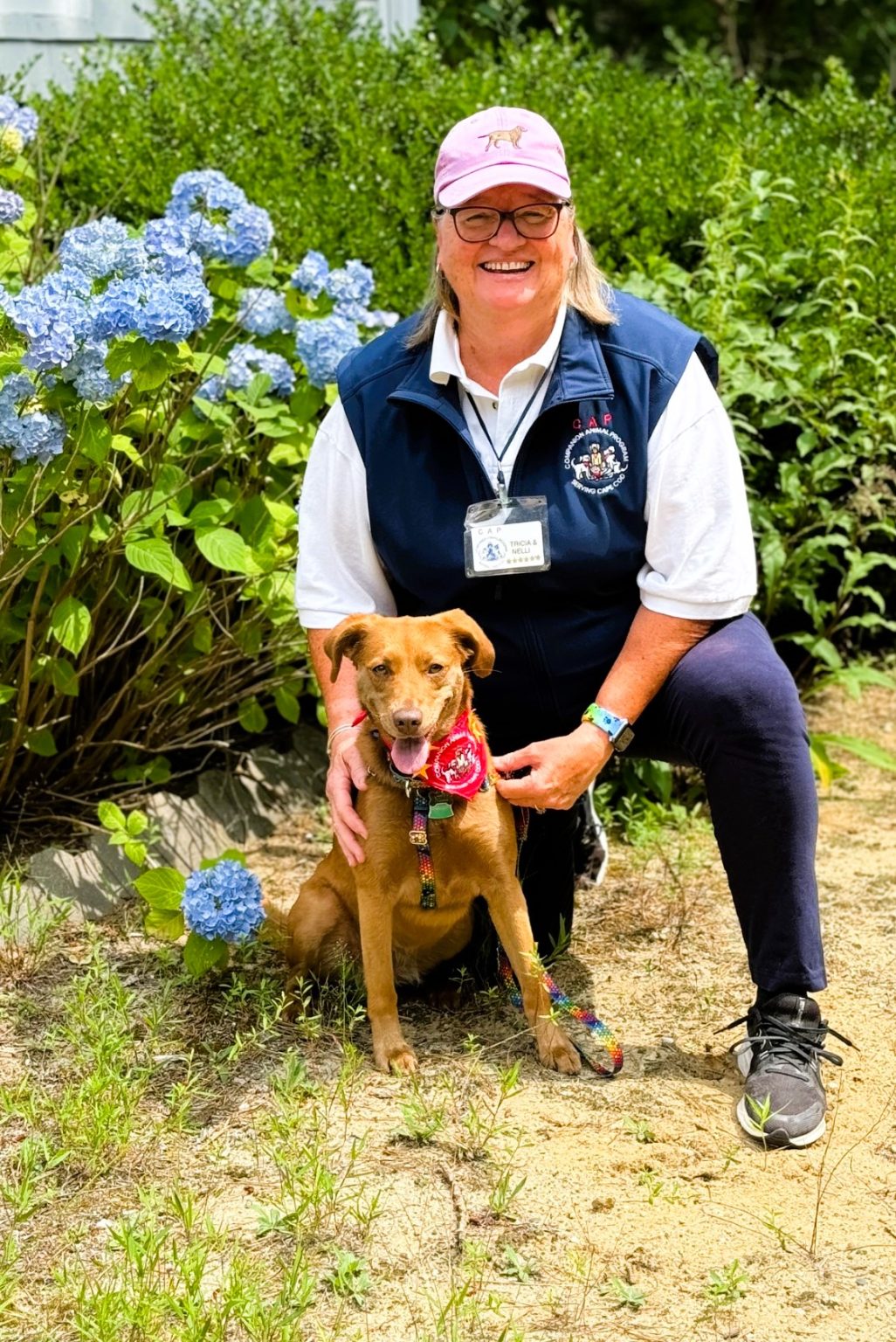 About Us – Companion Animal Program